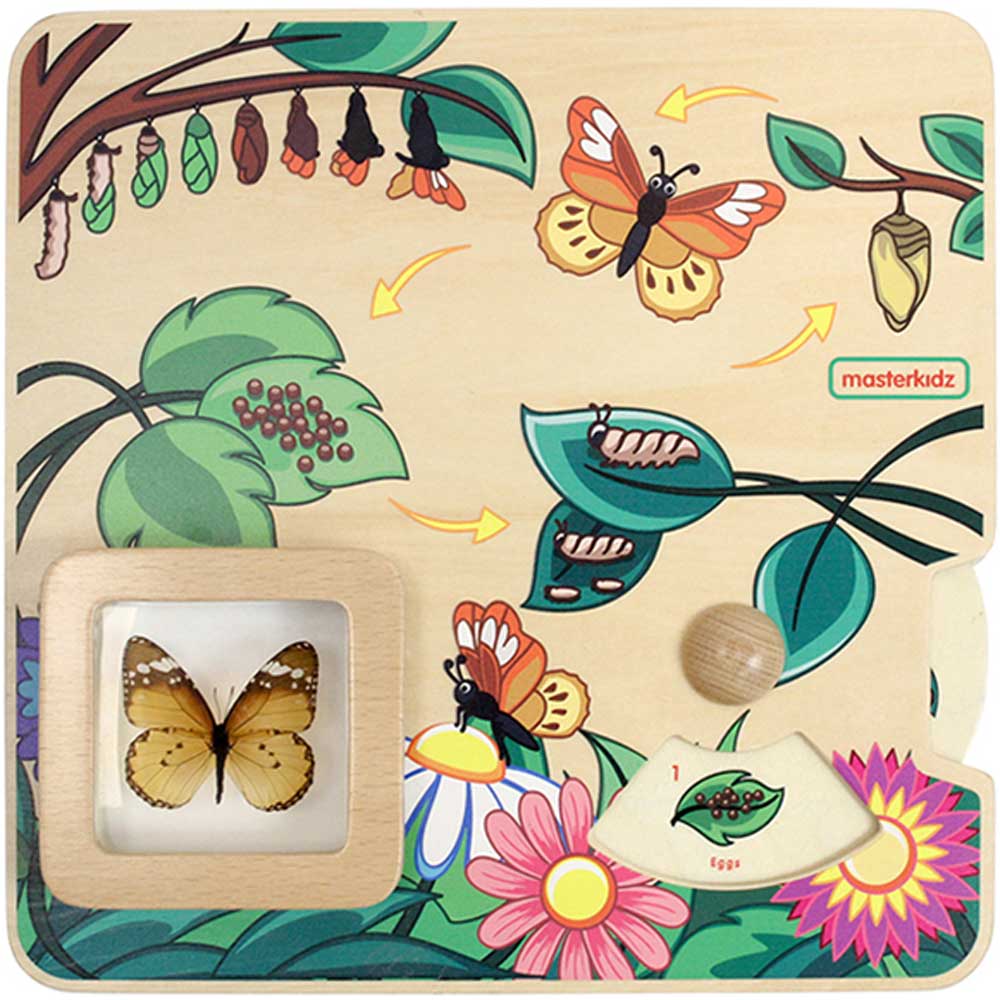 Butterfly Life Cycle Learning Board — Bright Spark Enterprises Pty Ltd