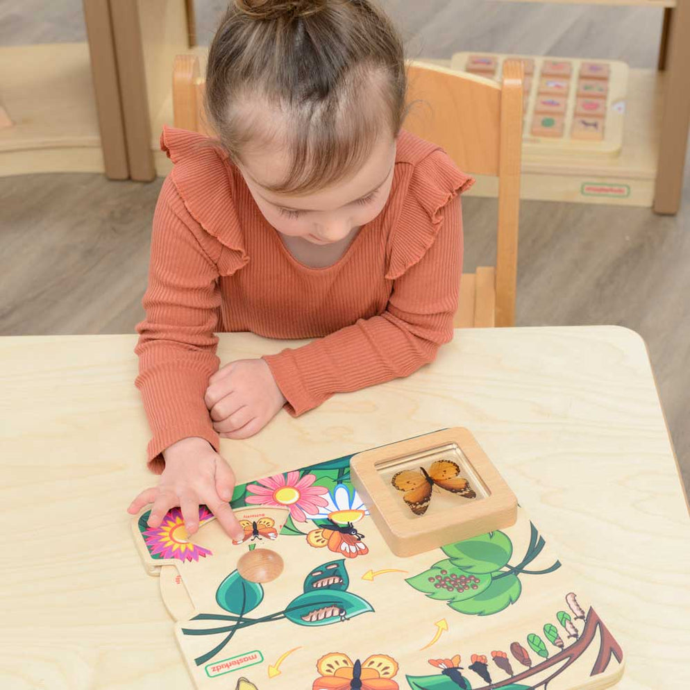 Butterfly Life Cycle Learning Board — Bright Spark Enterprises Pty Ltd
