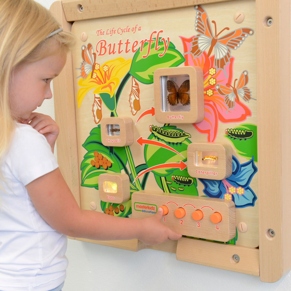 Light-Up Butterfly Life Cycle Wall Element — Bright Spark Enterprises ...