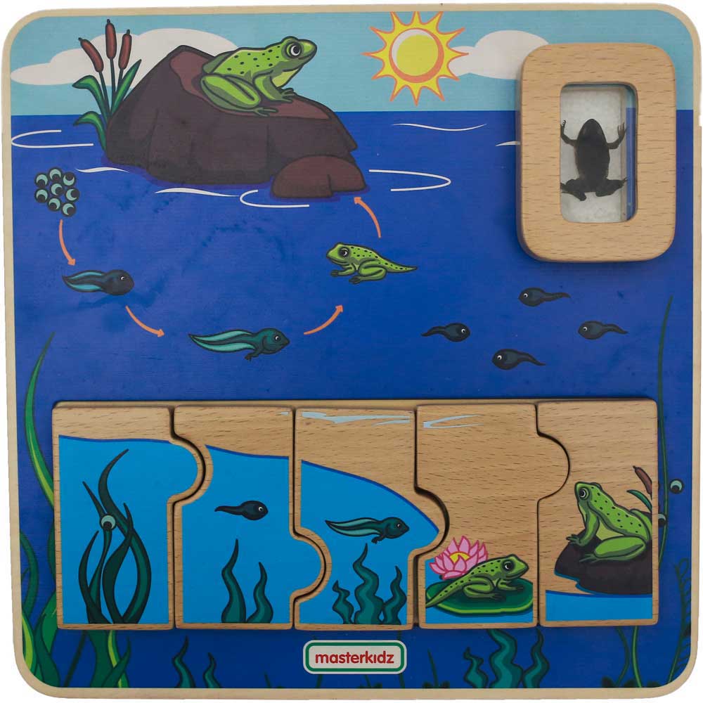 Frog Life Cycle Learning Board — Bright Spark Enterprises Pty Ltd
