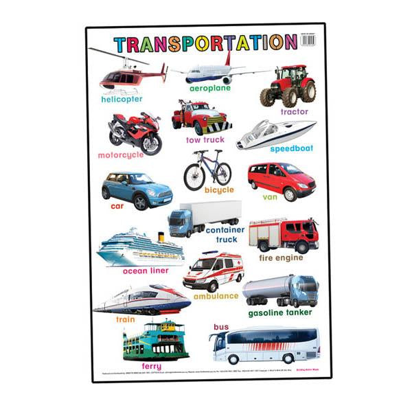 Educational Chart Transportation — Bright Spark Enterprises Pty Ltd